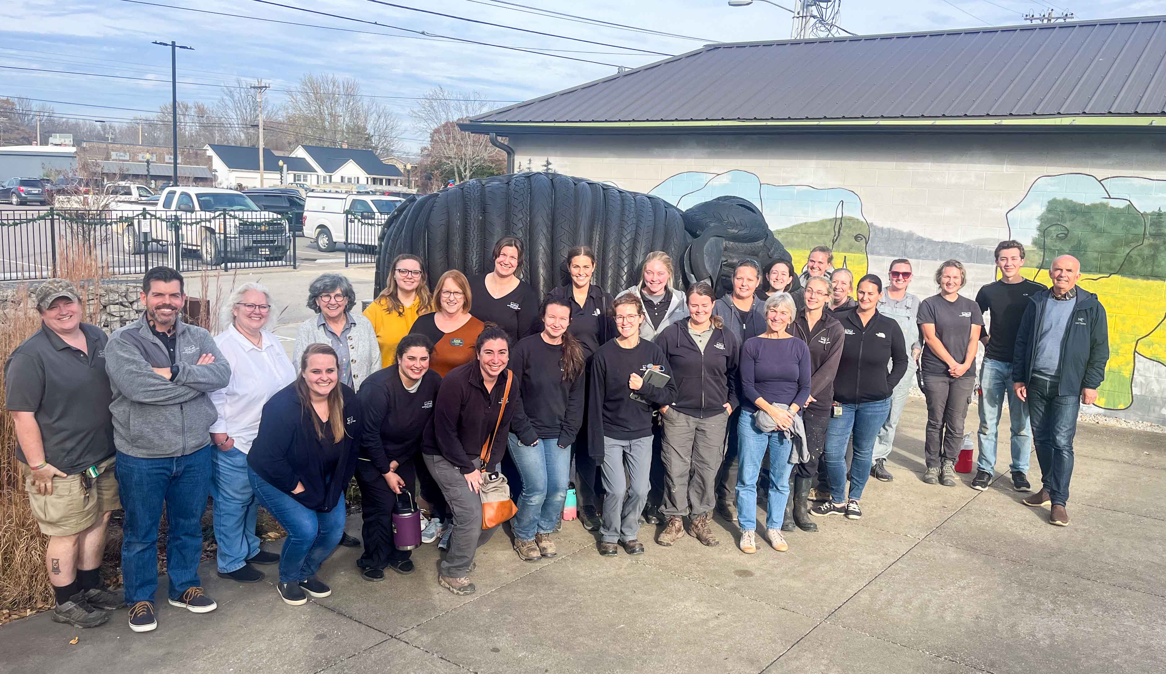 ElephantVoices Visits The Sanctuary - EleNotes - The Elephant Sanctuary ...